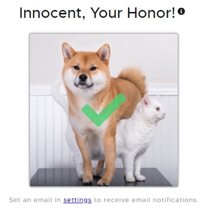 Resolución de disputas en Ethereum se probará usando el meme Doge