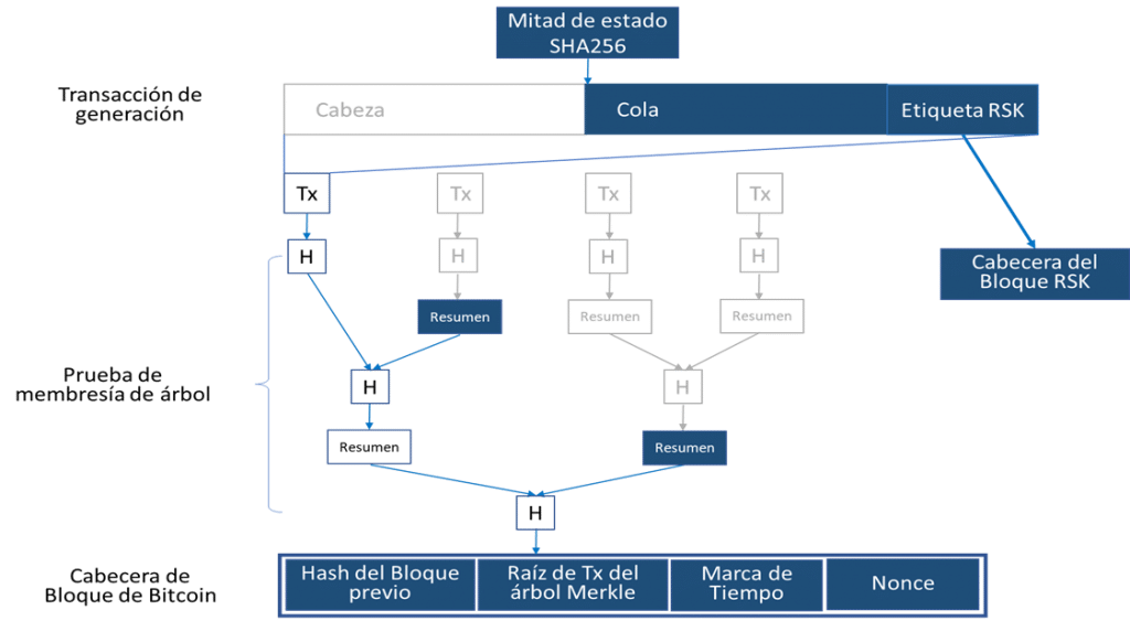 ¿Cómo hacer merged mining con RSK y contribuir a la sustentabilidad de ...
