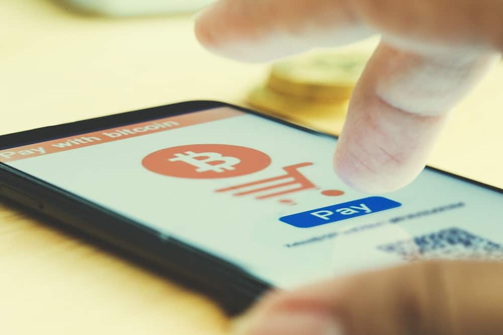 Instituto de Tecnología de Massachusetts desarrolla red de canales de ...