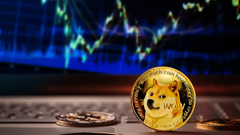 Precio de Dogecoin crece 500% con respaldo de WallStreetBets, Elon Musk y Mia Khalifa