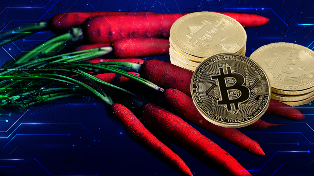 Taproot y su alcance en Bitcoin: a mayor adopción, mayor privacidad