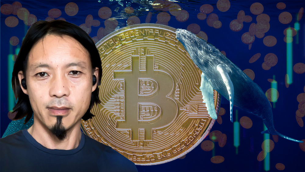 Finaliza la toma de ganancias y precio de bitcoin apunta a USD 56.000, dice Willy Woo