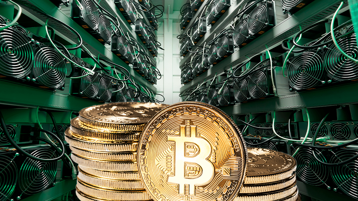 Máquinas mineras de Bitcoin nuevas y usadas están a la venta en este ...