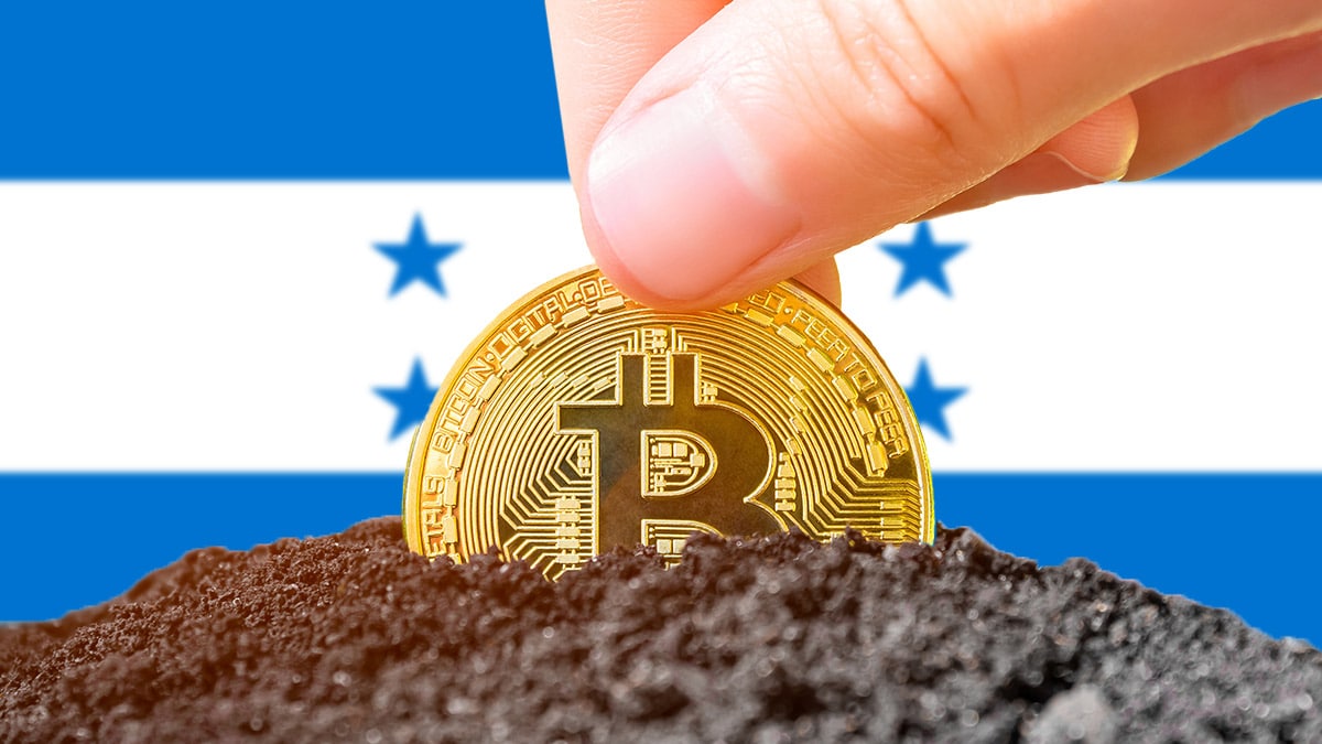 Ciudadela de Honduras se suma al torbellino de adopción de bitcoin de ...