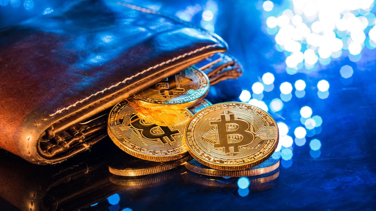 Rentabilidad de los ahorristas de bitcoin alcanza este raro patrón alcista