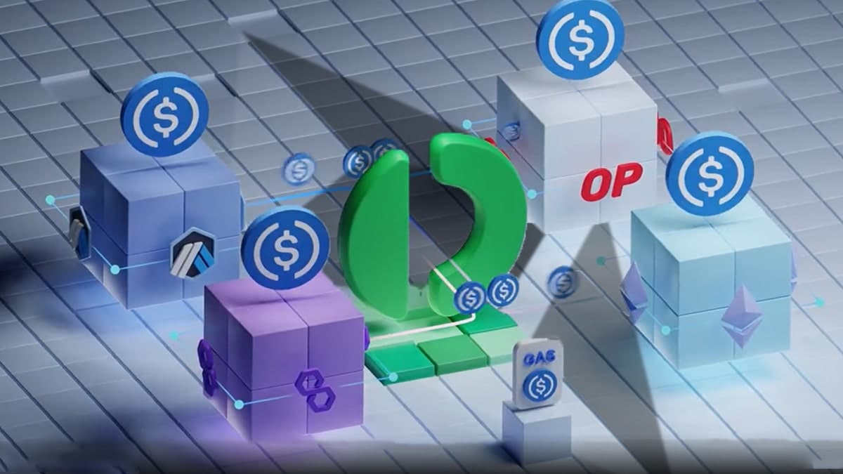 Avocado: nueva wallet multicadenas que permite pagar comisiones con USDC