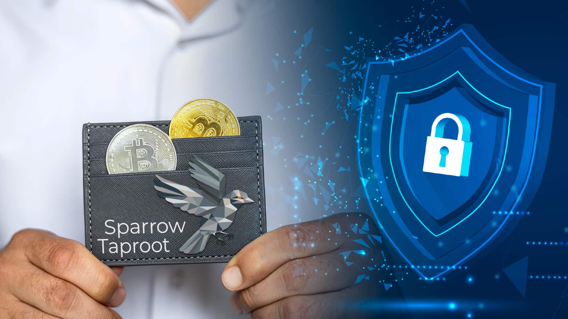 Sparrow Wallet v1.7.8 ofrece más control y lo último en desarrollo de ...