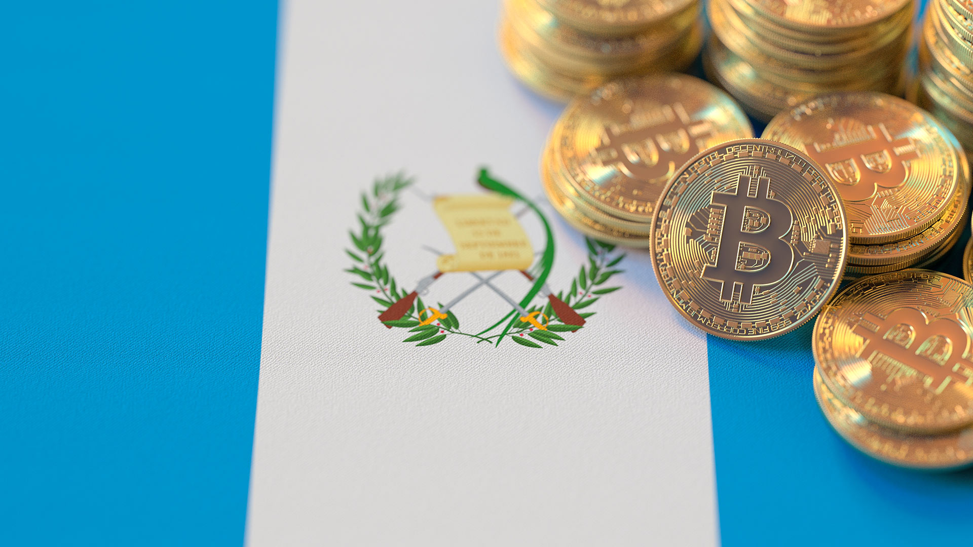 "Rechazaban a bitcoin y ahora se dan cuenta de su potencial": evolución ...