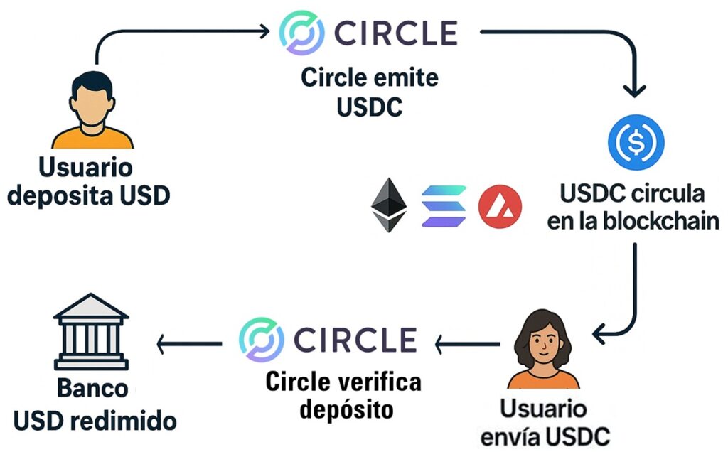 ¿Qué es USD Coin (USDC) y como funciona?