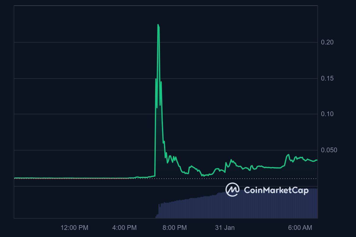 La familia de Elon Musk ya tiene su memecoin oficial
